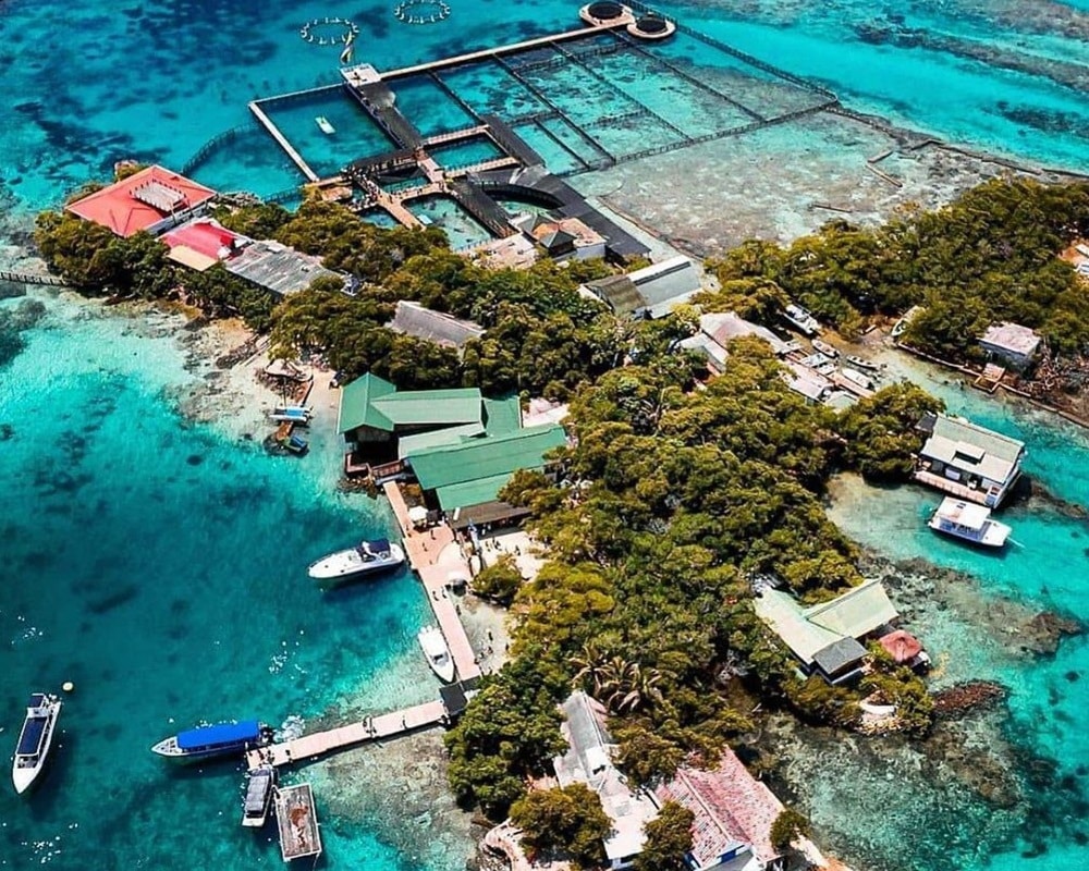 Tour de 5 islas VIP + Plancton | Islas del Rosario y Barú