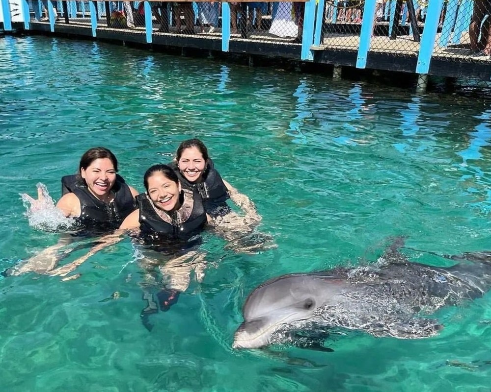 Playa tranquila + oceanario | Tour Cartagena